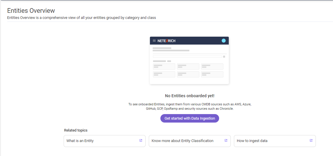 Entities overview – Netenrich